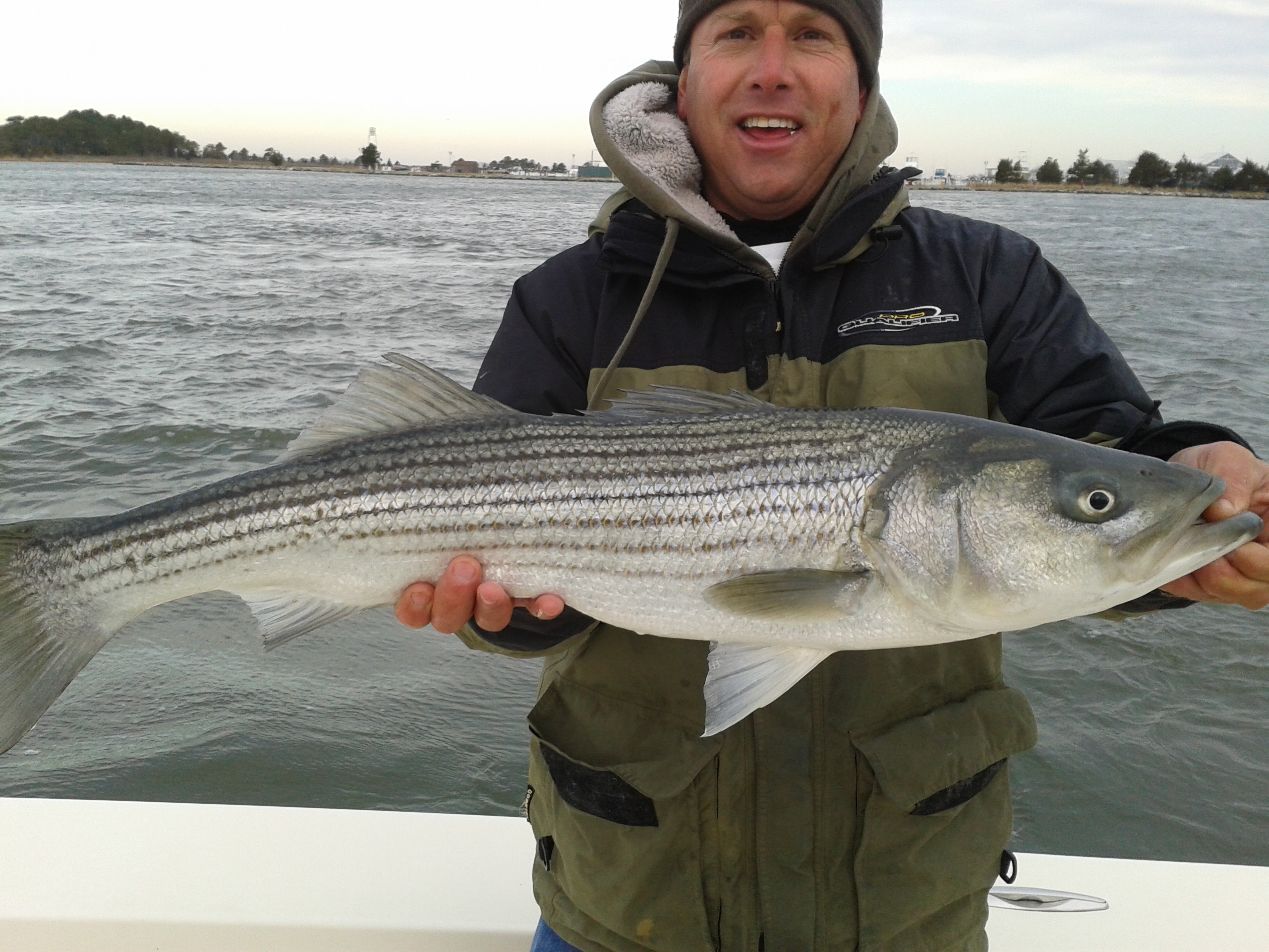 Striped bass fishing with Captain Chuck Cook of First Light Charters ...