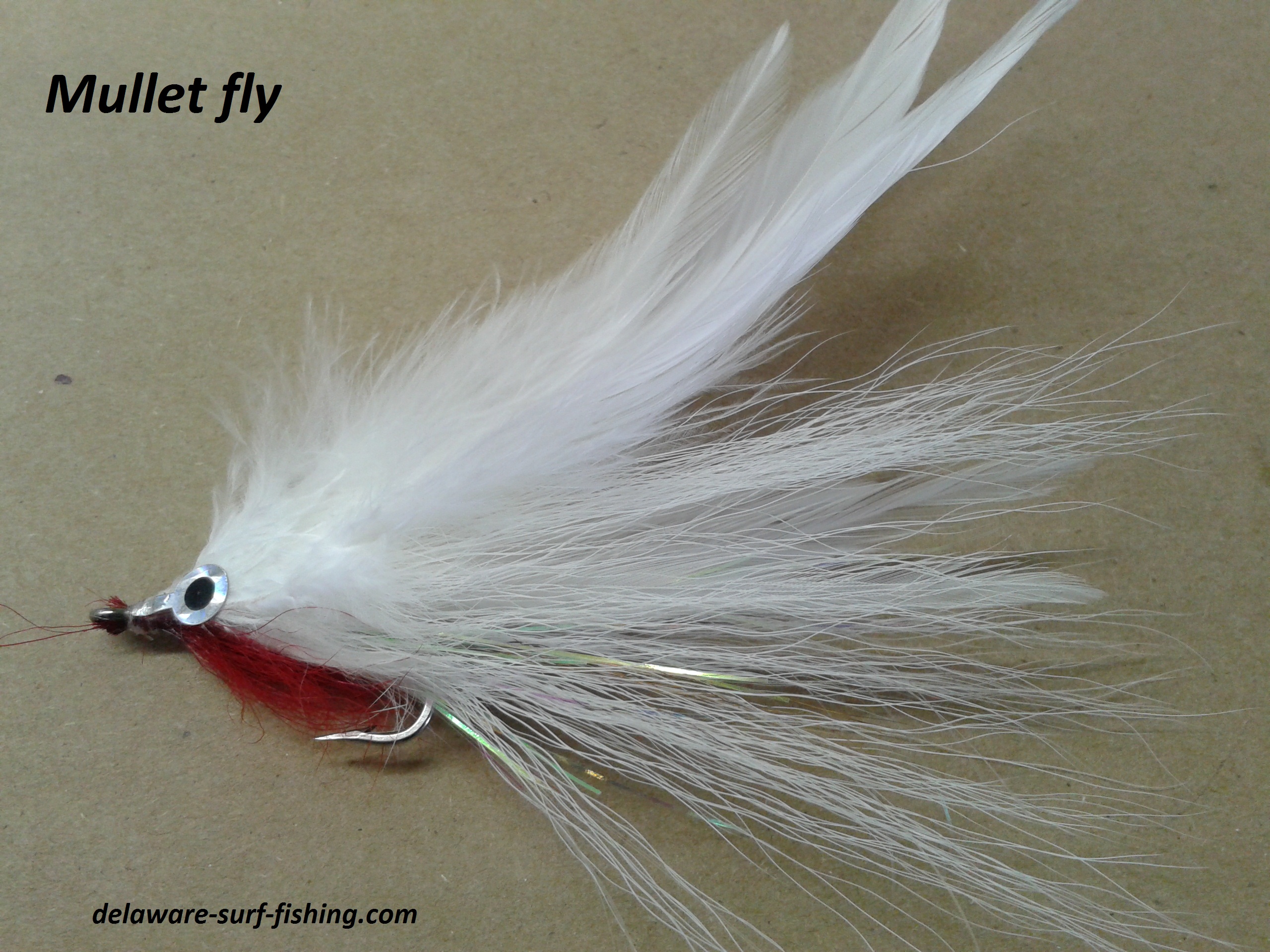 Fly Tying on Groundhog day in Lewes with the Saltwater Fly Anglers of ...