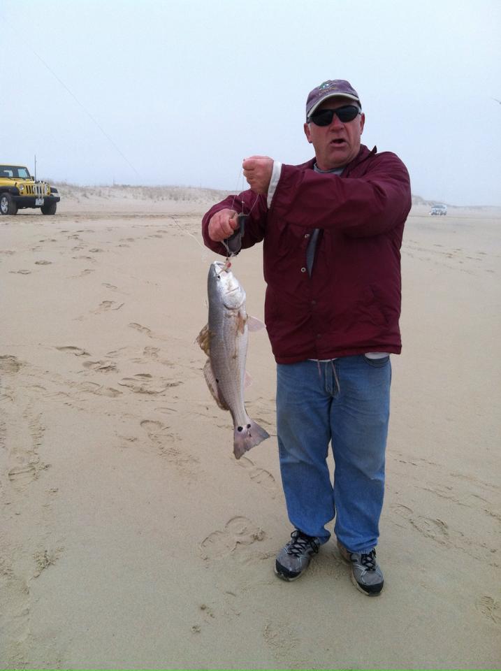 Redfish in the surf with random keeper striped bass - delaware-surf ...