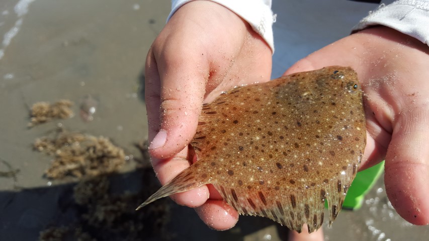 Weekend Outlook for Fishing