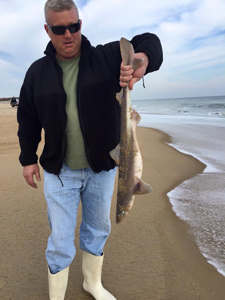Spiny dogfish, David Eastburn - delaware-surf-fishing.com