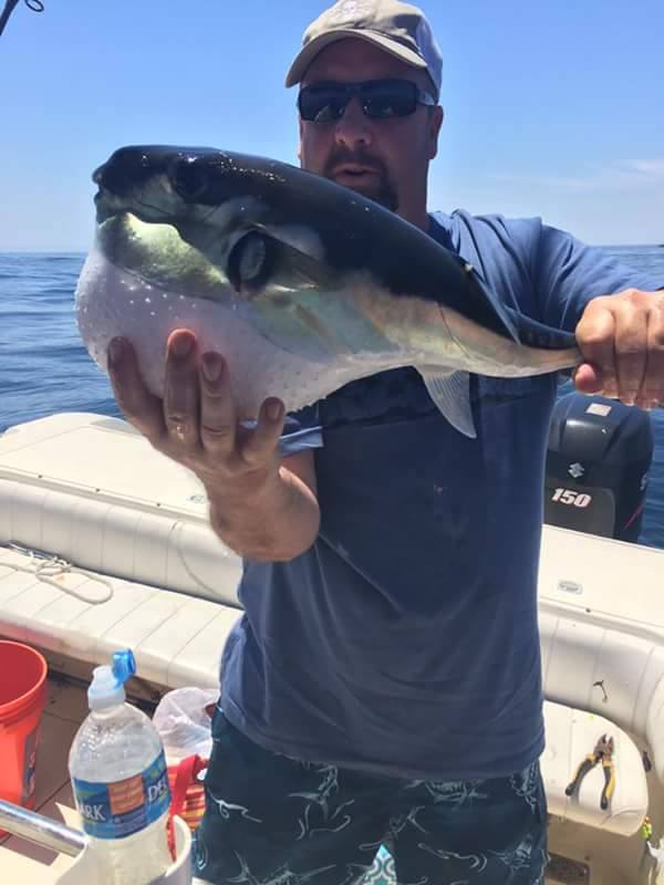 Walt Hanwell with a Rabbit Fish he got about 10 miles out. - delaware ...