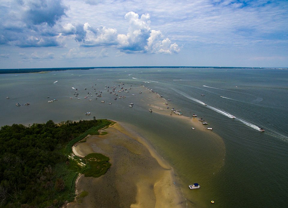 The Inland Bay Sand Bar Club - delaware-surf-fishing.com