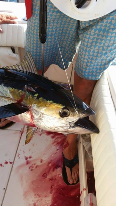 tuna with 2 lines - delaware-surf-fishing.com