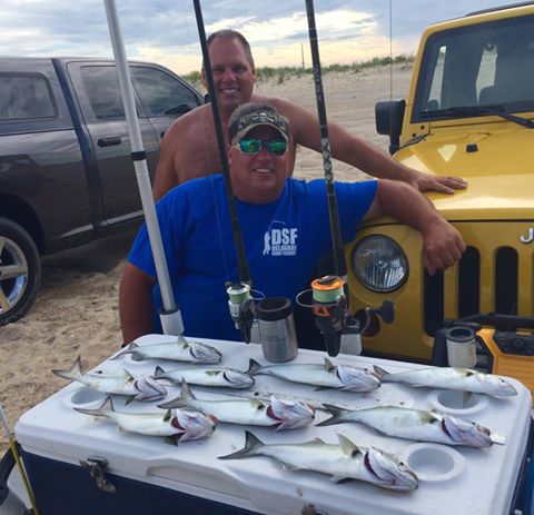 Bluefish at 3Rs caught by TC Dean and Steve Helmick during the late ...