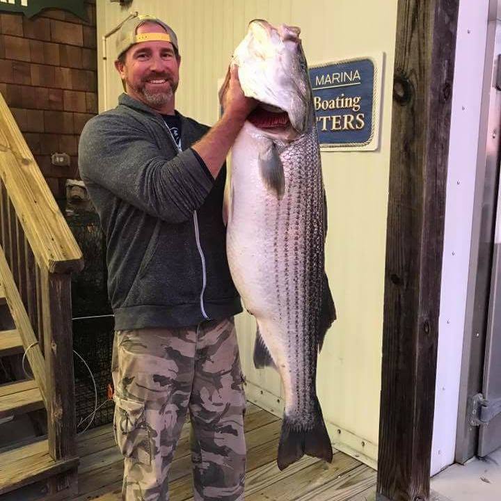 Jimmy Young with a 50 pound bass he got off the coast of Jersey near ...