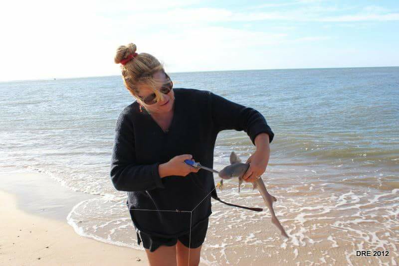 Taking a hook out of dogfish's mouth. - delaware-surf-fishing.com