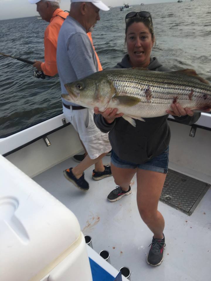Adrienne Talabisco holding a rockfish ... operating - delaware-surf ...