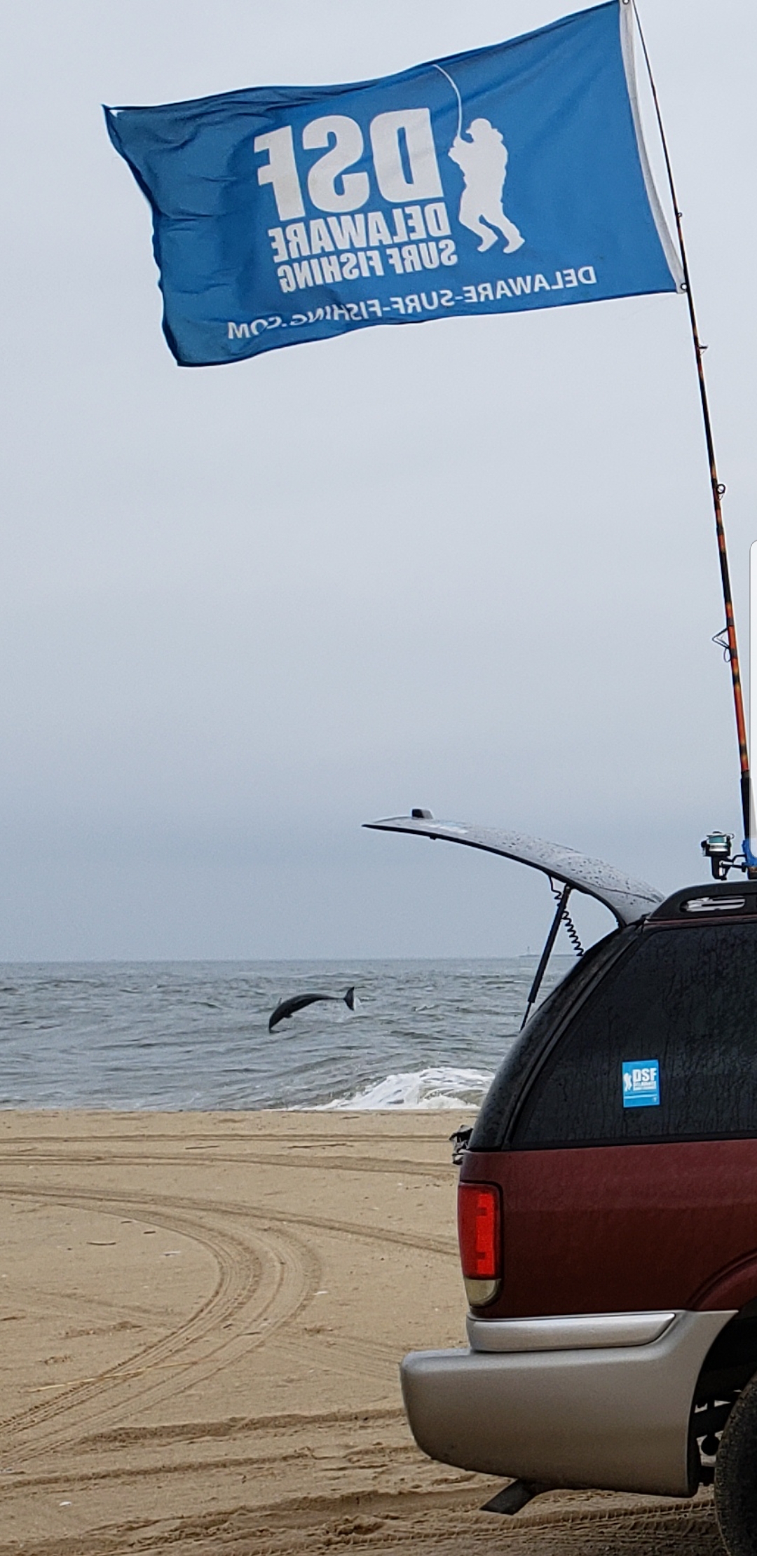Screenshot_20180831-185738_Gallery - delaware-surf-fishing.com