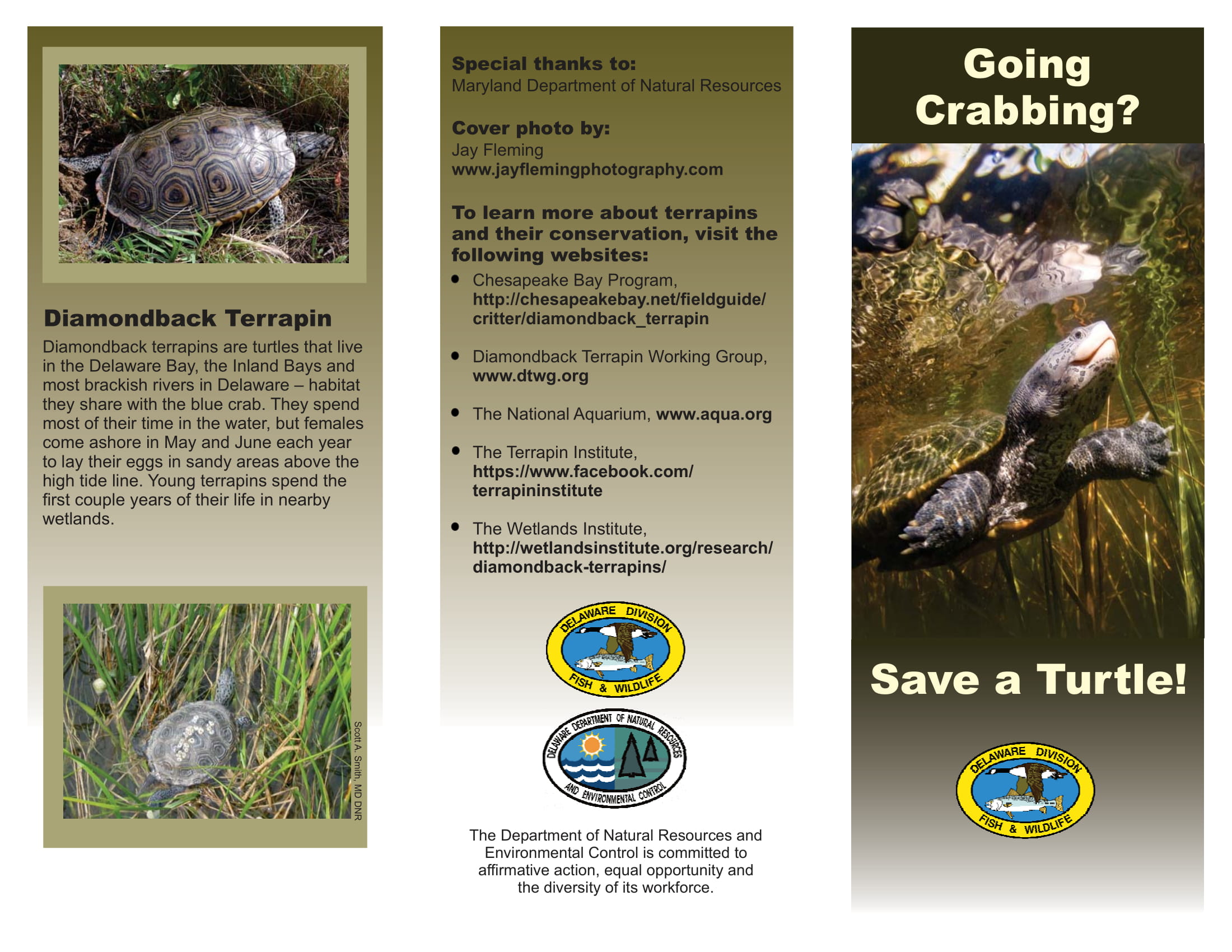 Turtle Brochure how to make a terrapin (turtle) by-catch reduction ...