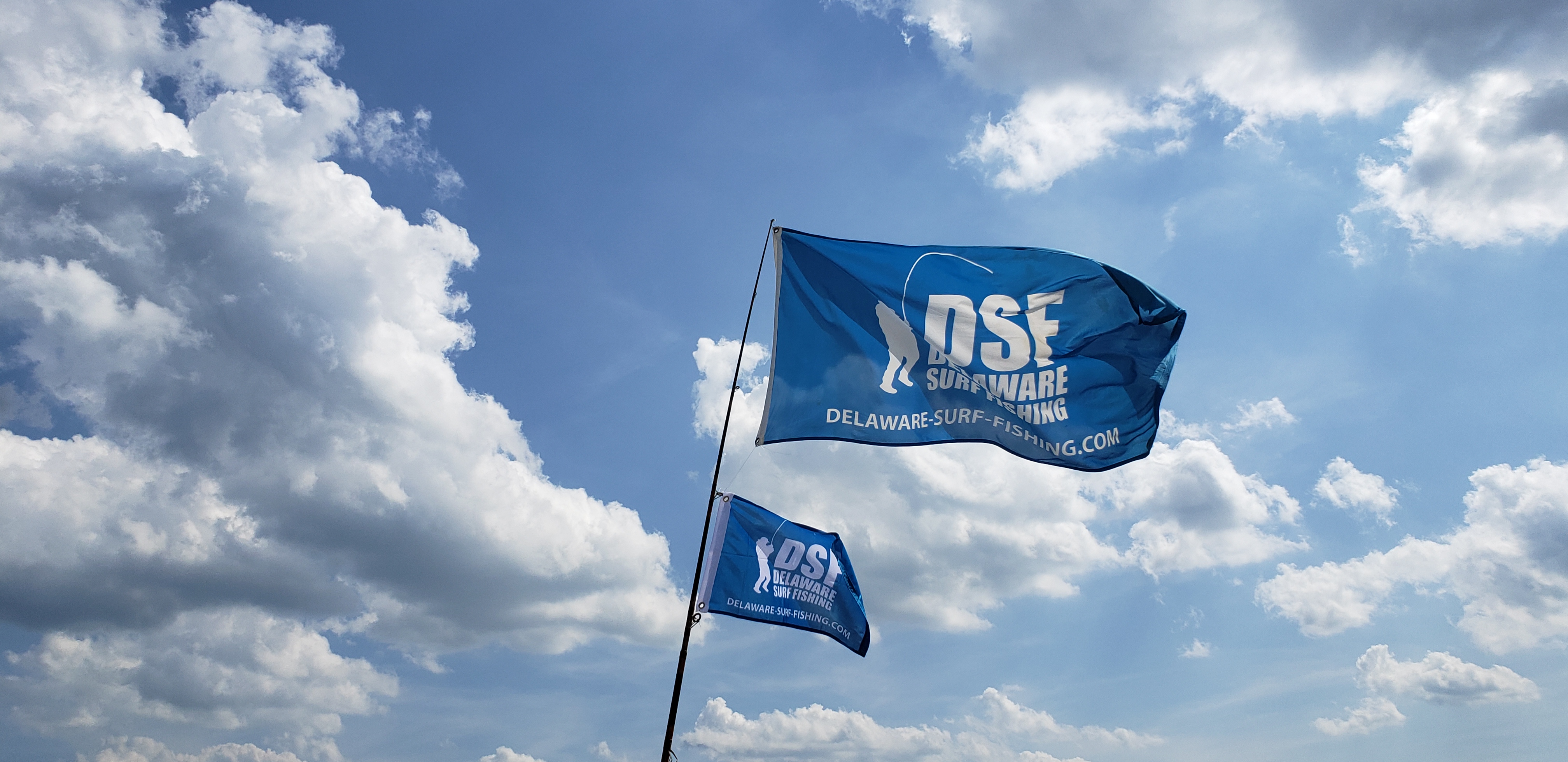 DSF Flags are now available in 2 sizes 3 x 5 feet .. 49.99 18 inches by ...