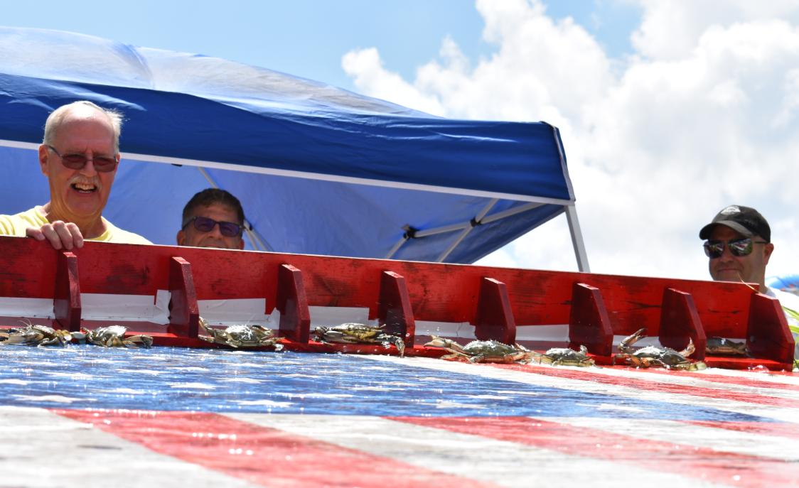 And they're off!!! Long Neck Crab Races 2019 - delaware-surf-fishing.com
