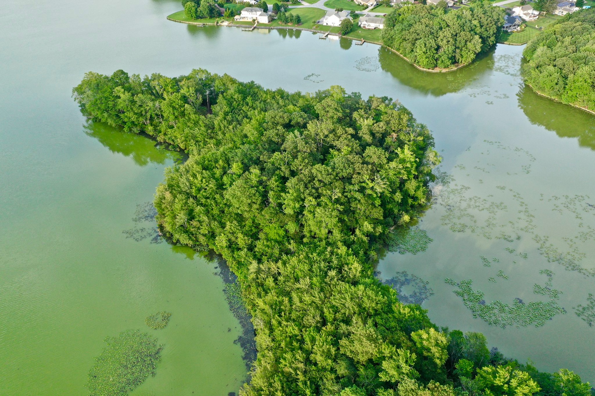 Red Mill Pond .. Driscol Drones - delaware-surf-fishing.com