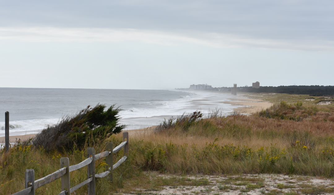 Herring point beach at 10 AM - delaware-surf-fishing.com
