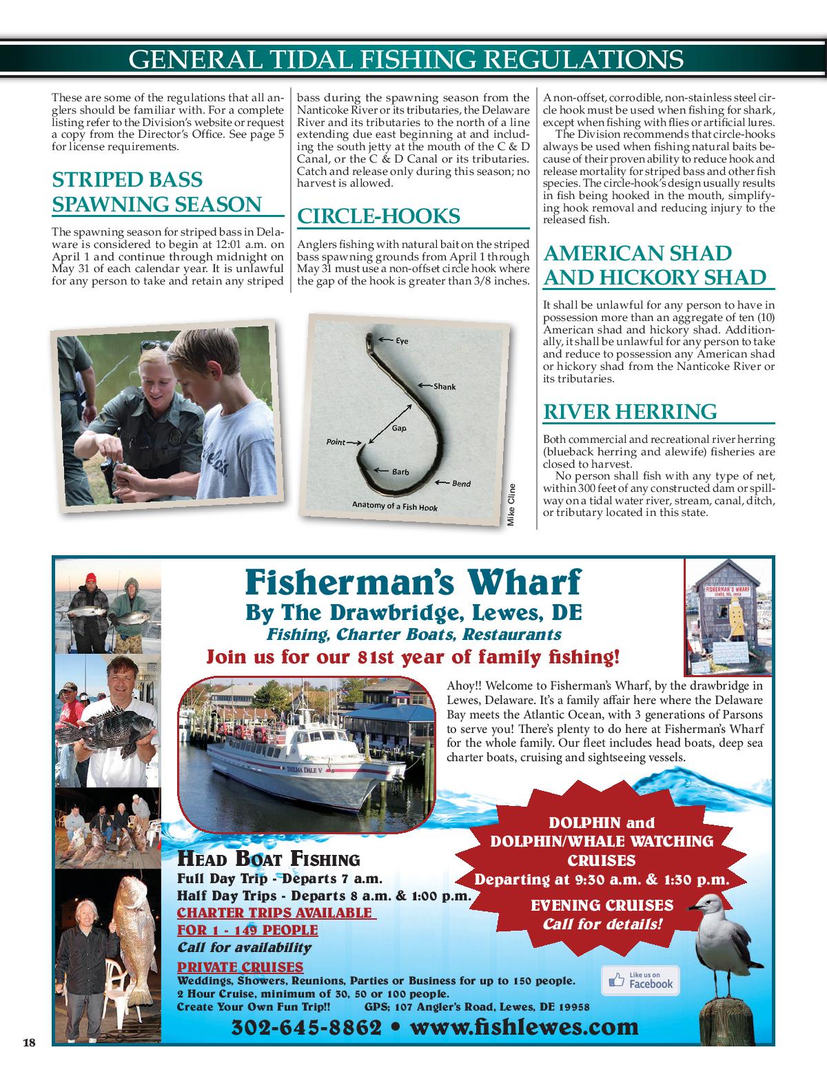 Delaware Fishing Guide 2020-page-020 - delaware-surf-fishing.com