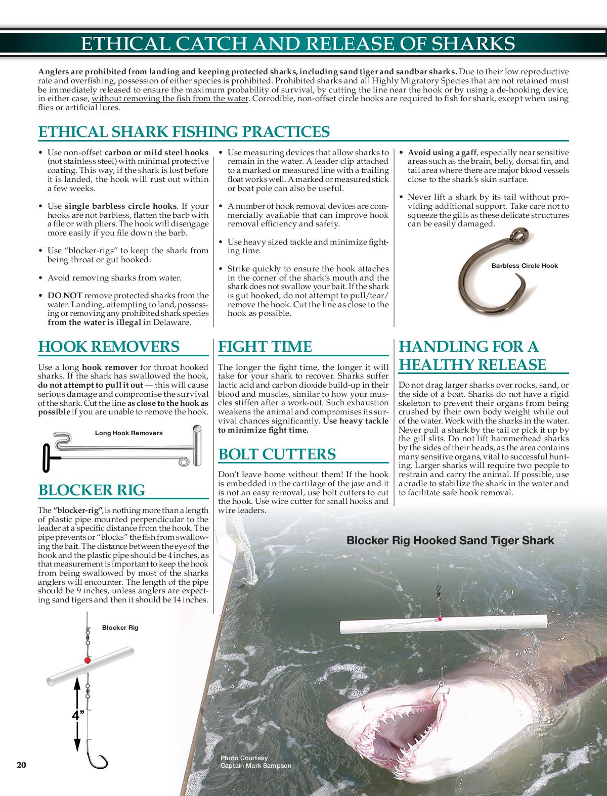 Delaware Fishing Guide 2020-page-022 - delaware-surf-fishing.com