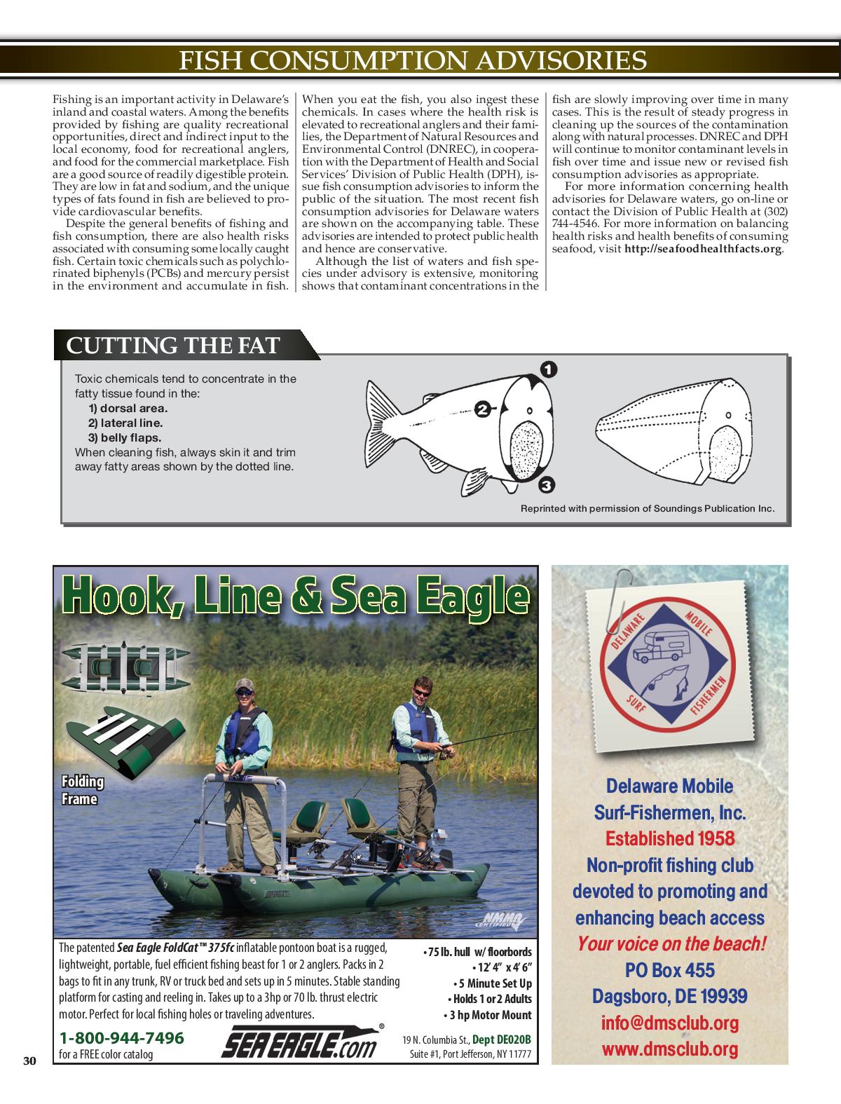 Delaware Fishing Guide 2020-page-032 - delaware-surf-fishing.com