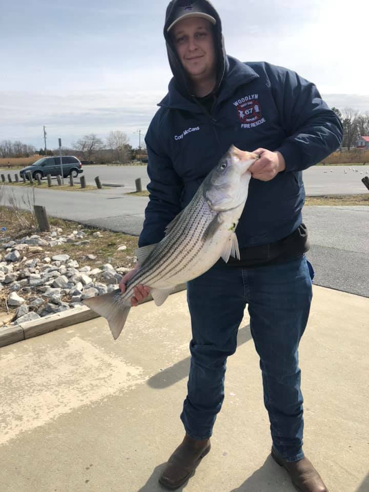Cory McCans with a 32 inch striped bass he caught at Woodland Beach ...