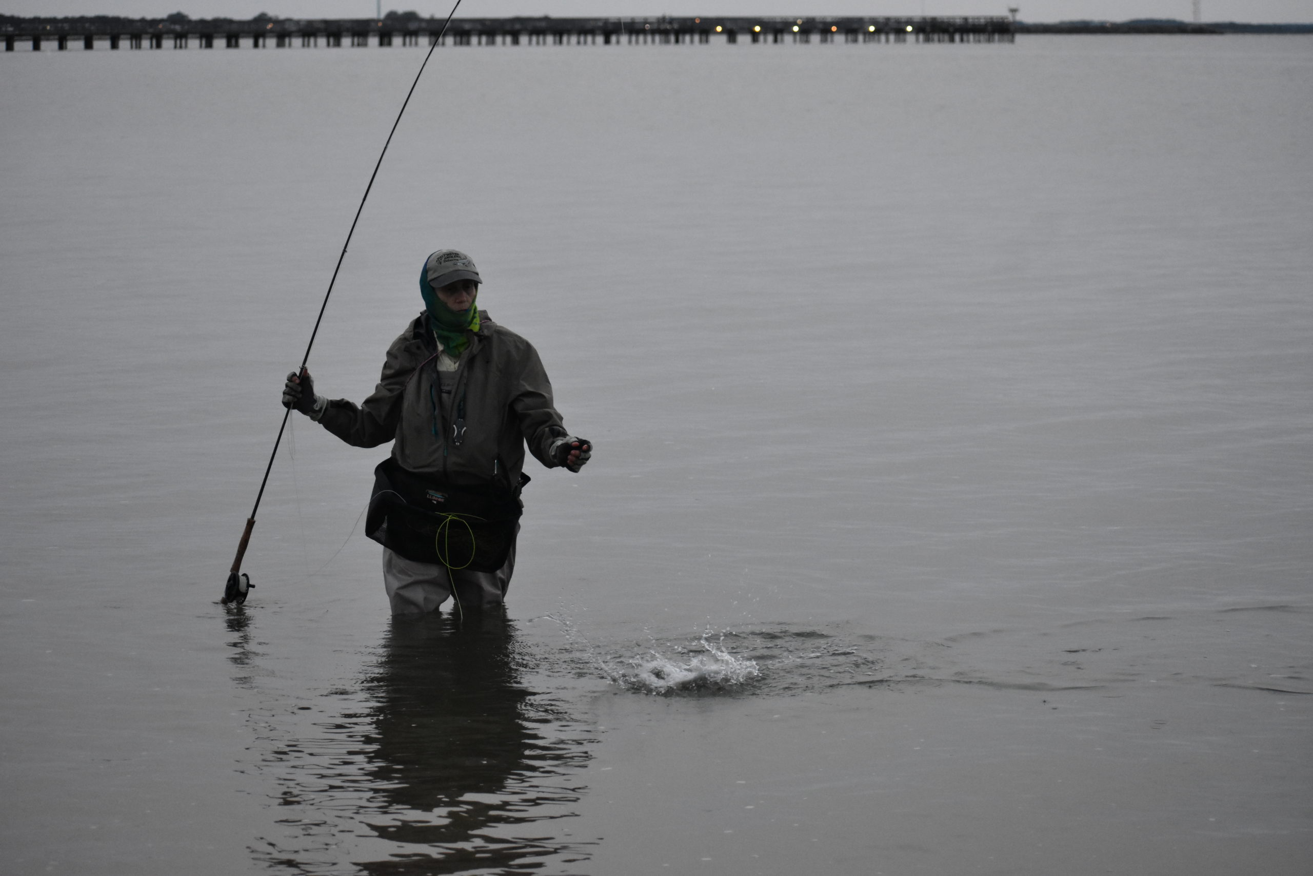 Spot on the retrieve - delaware-surf-fishing.com