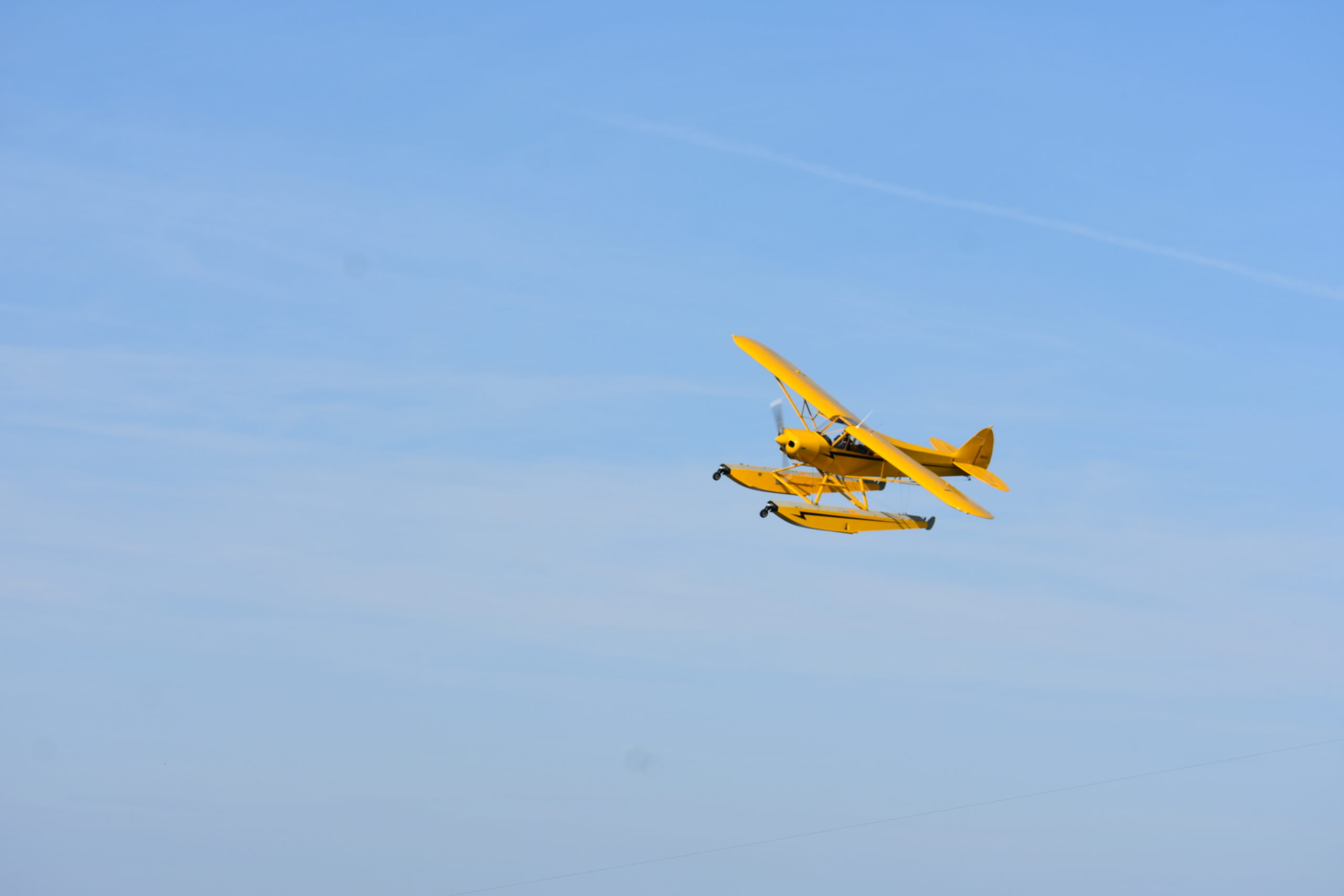 Sea plane buzzing the point today, thought we might catch a ride ...