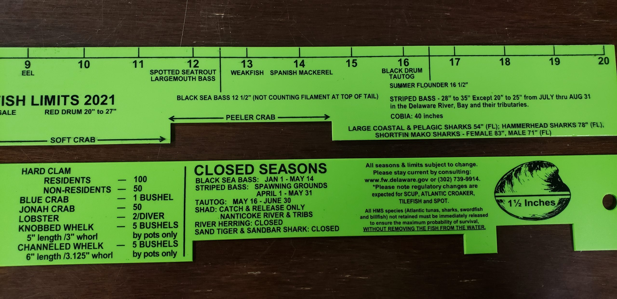 2021 Delaware Fishing Ruler - delaware-surf-fishing.com