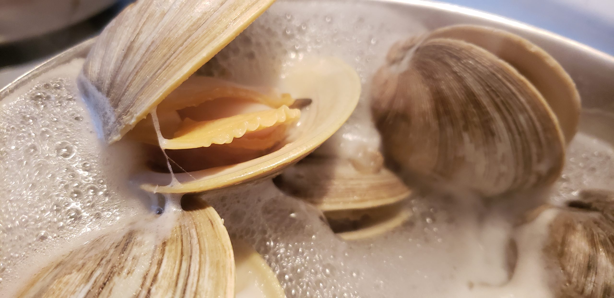 Middlenecks steaming and opening, look delicious. - delaware-surf ...