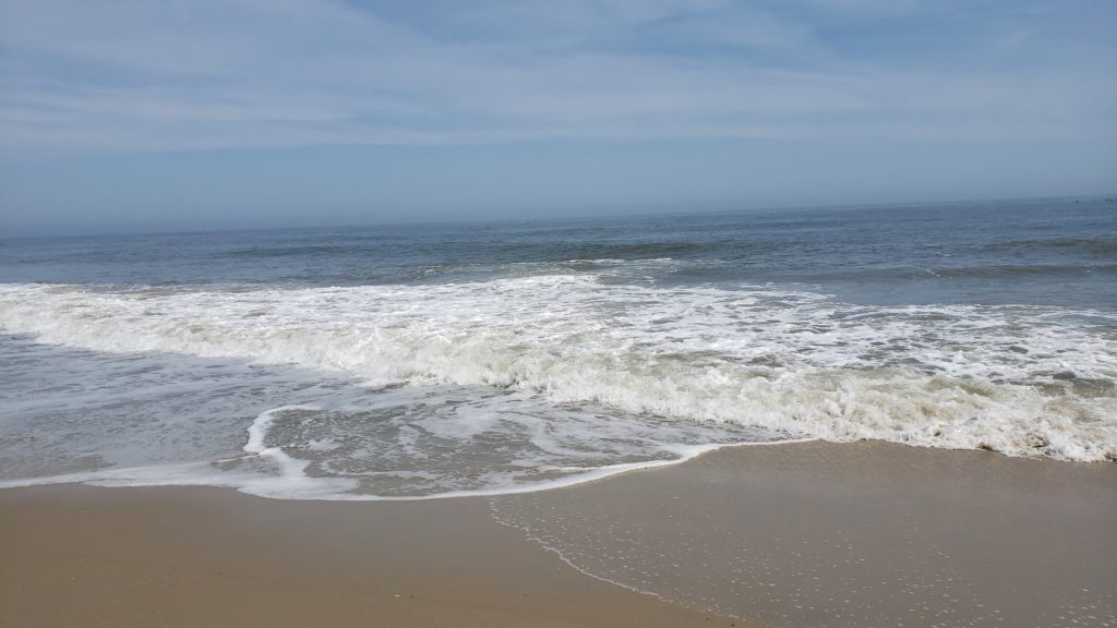 New Surf Structure And Northern Kingfish - delaware-surf-fishing.com