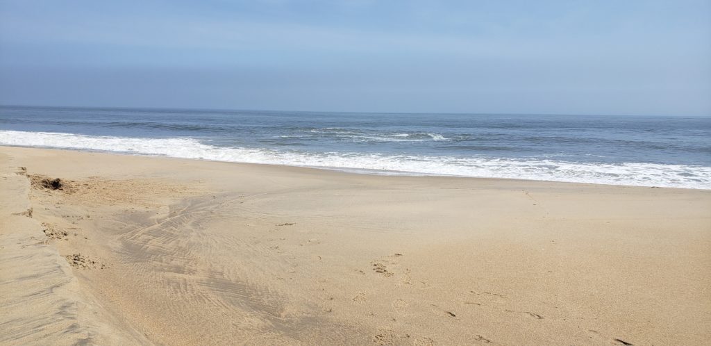 New Surf Structure And Northern Kingfish - delaware-surf-fishing.com