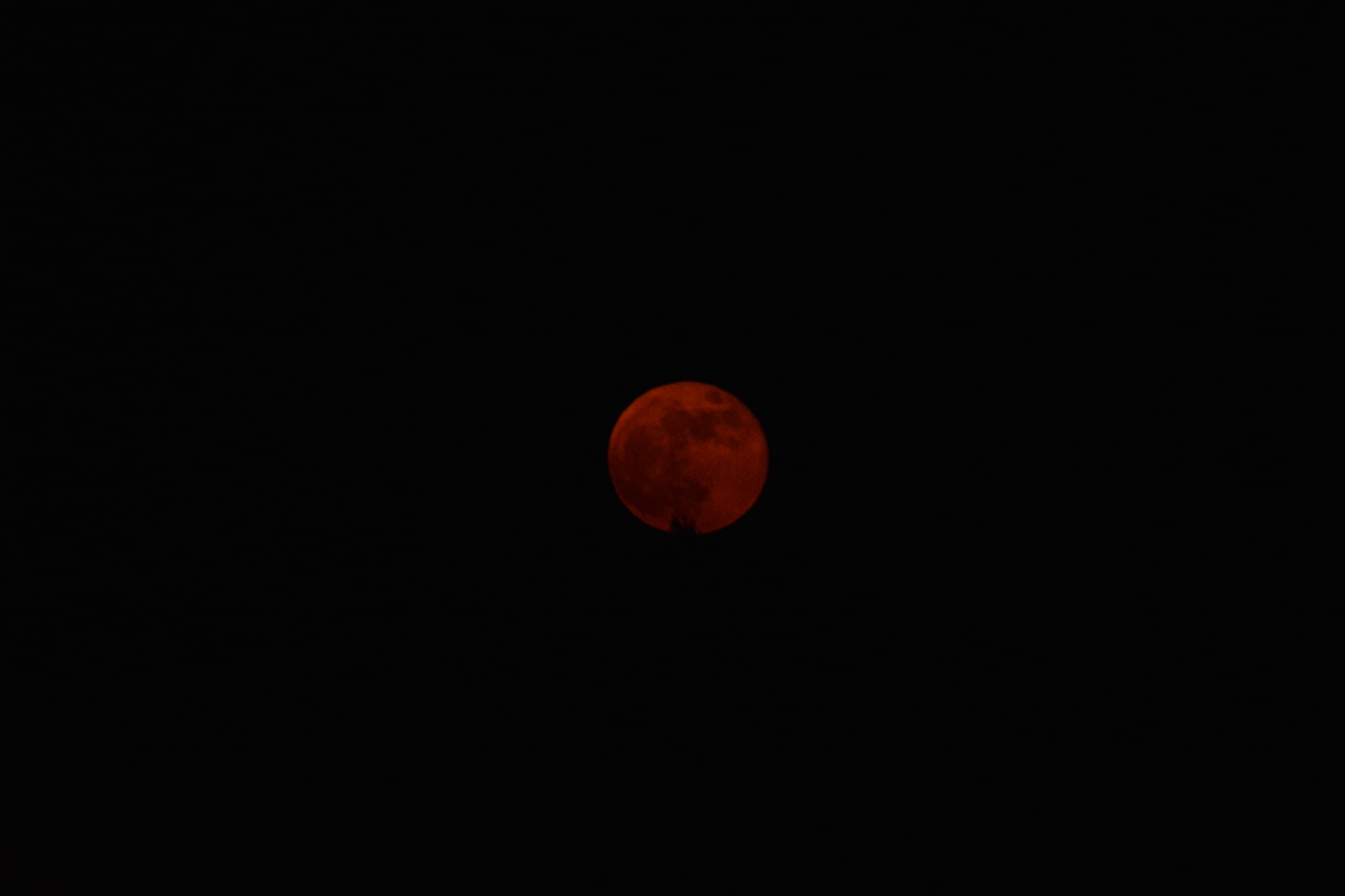 May's Full Flower Blood Moon - delaware-surf-fishing.com