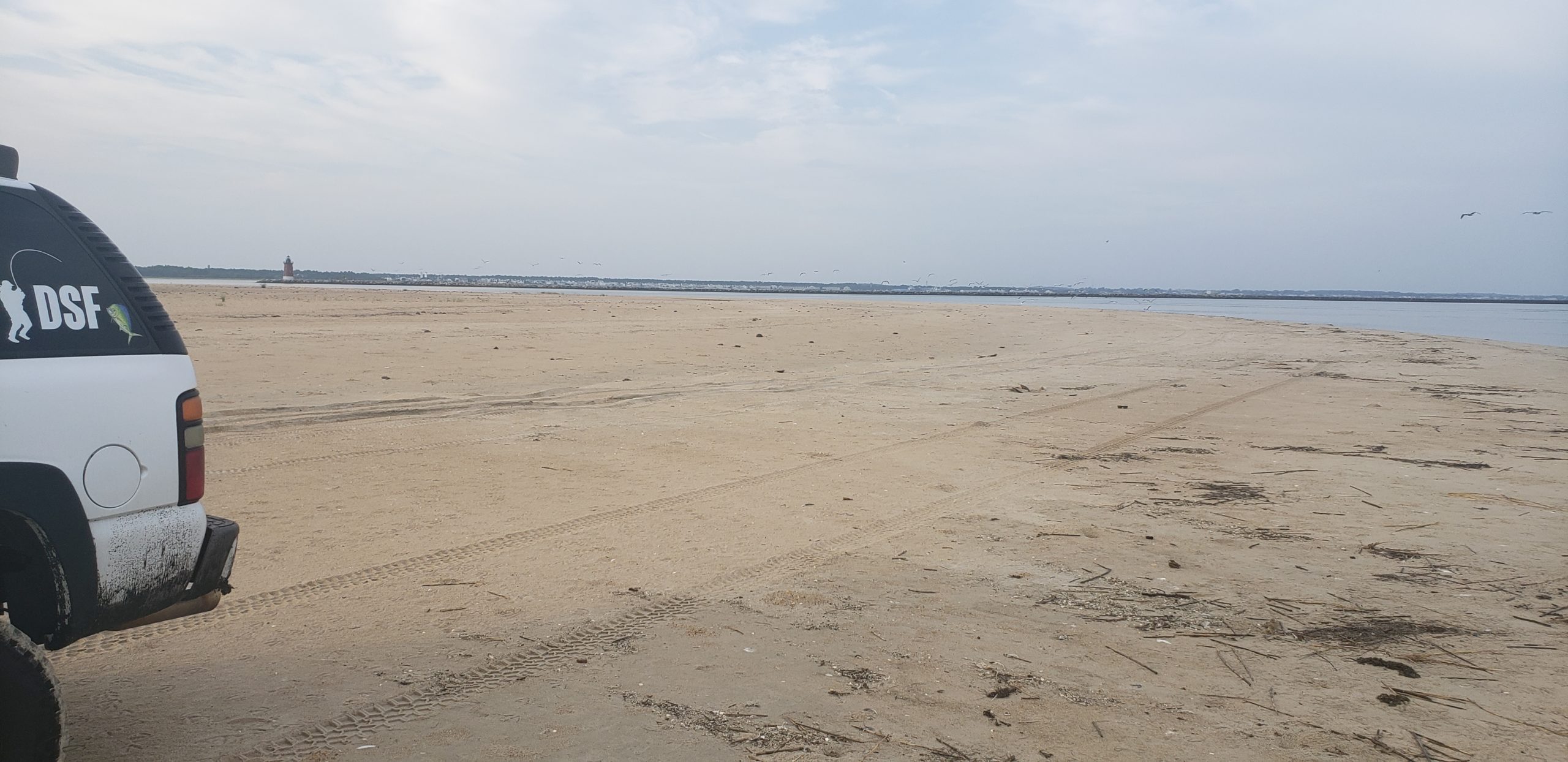 The bayside beach of the point - delaware-surf-fishing.com