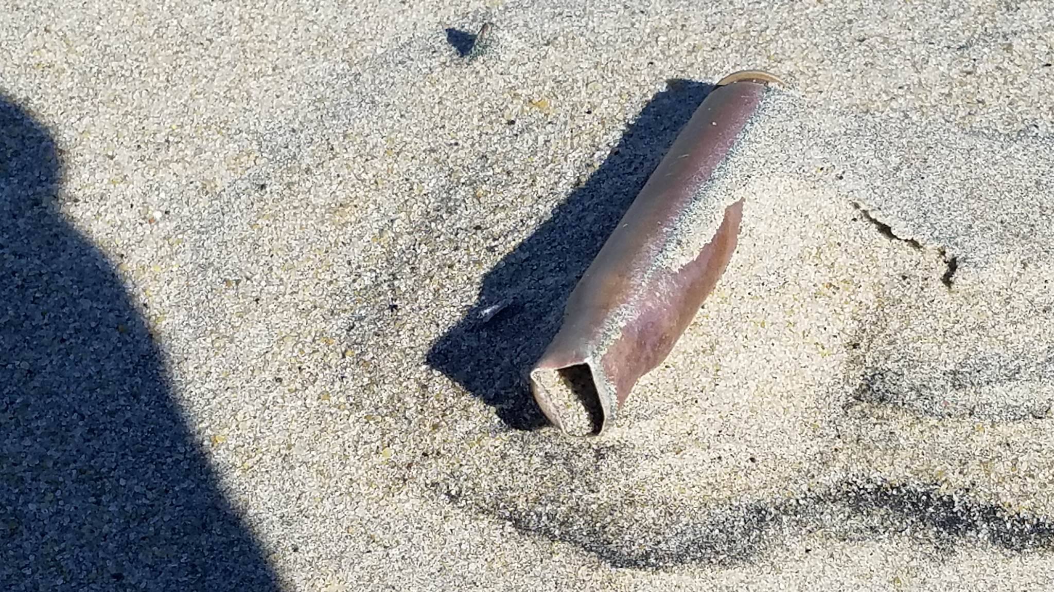 beach comb shell casing - delaware-surf-fishing.com
