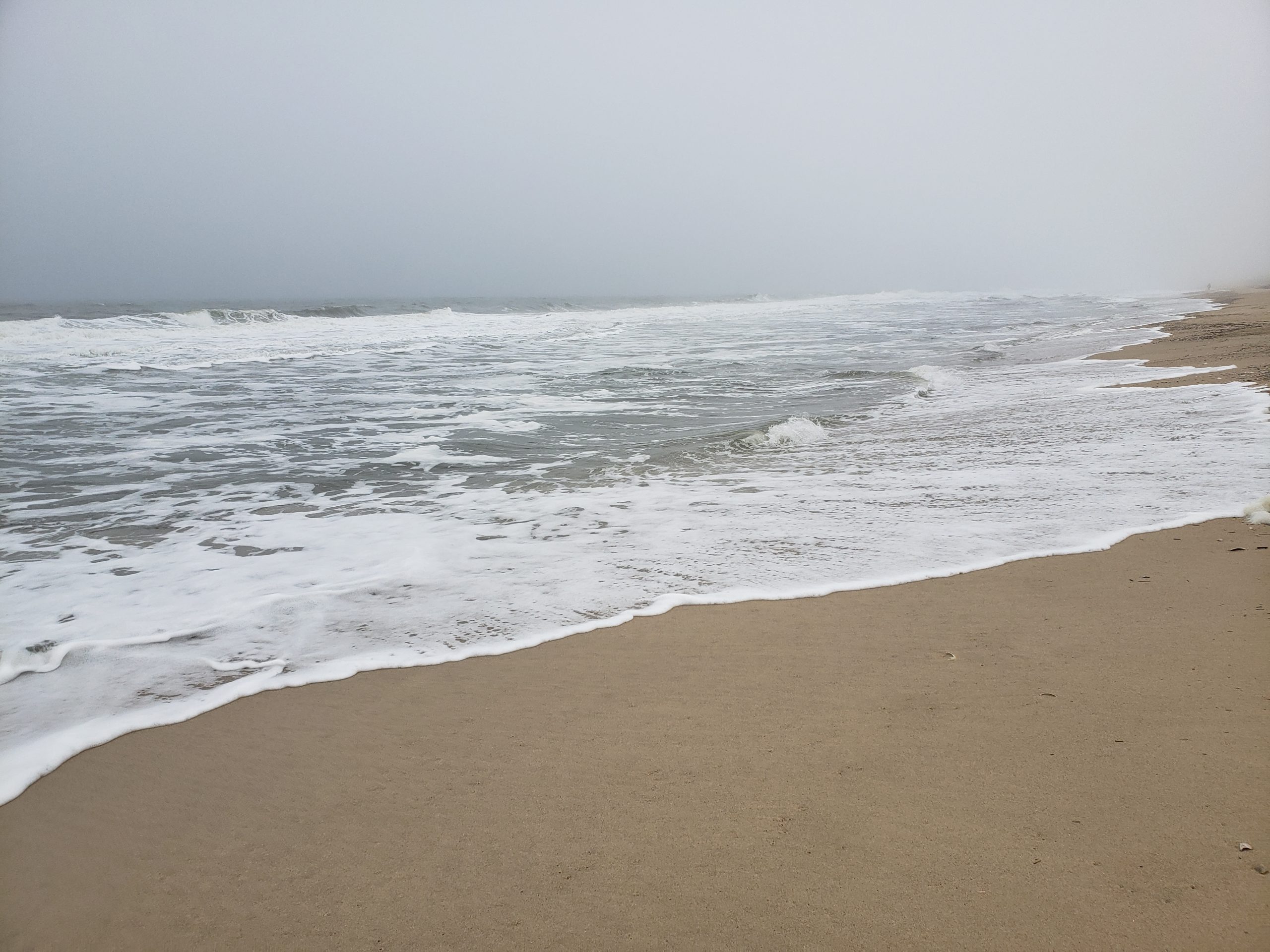 20220512_161104 - delaware-surf-fishing.com