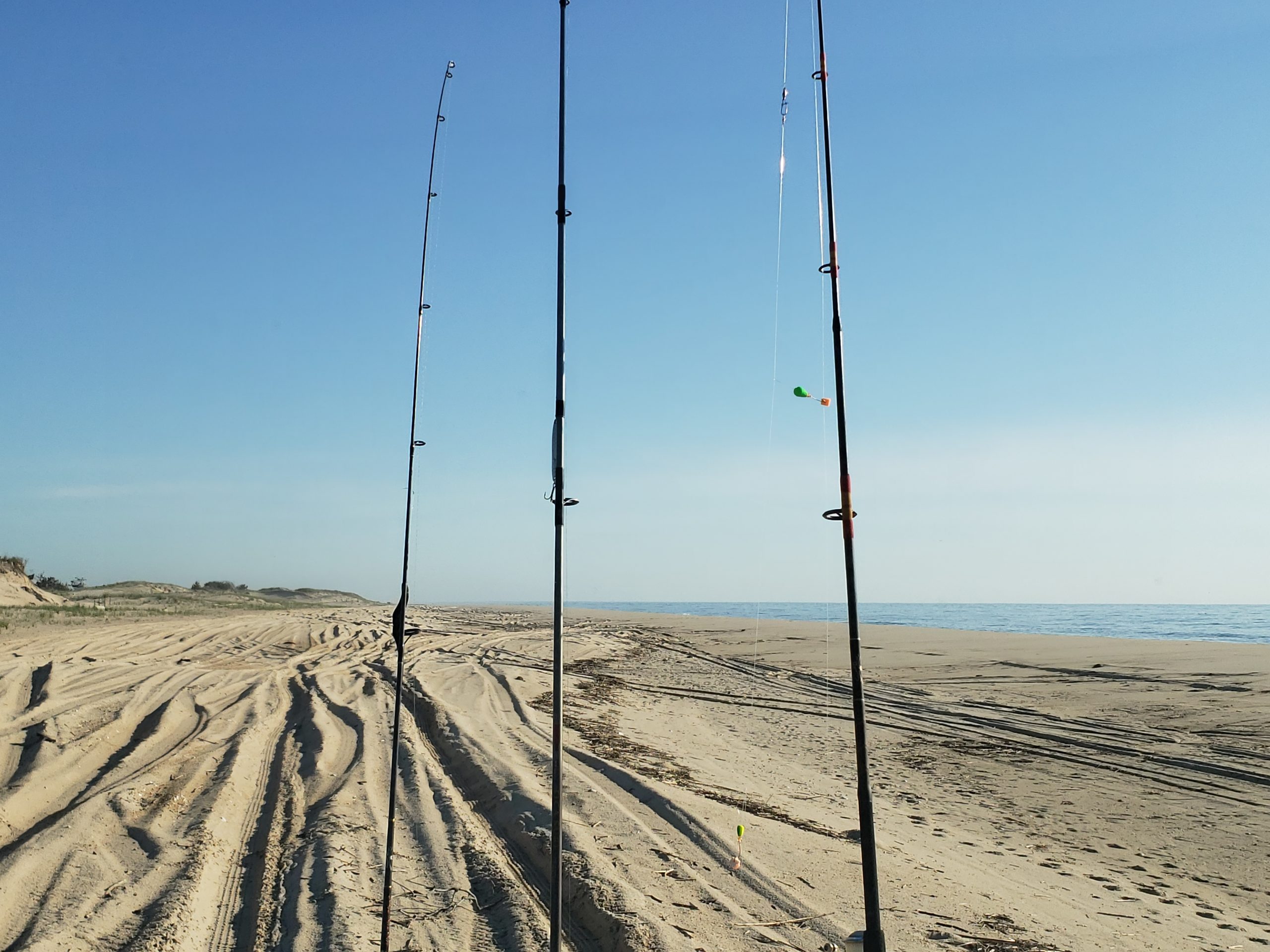 20220615_075747 - delaware-surf-fishing.com
